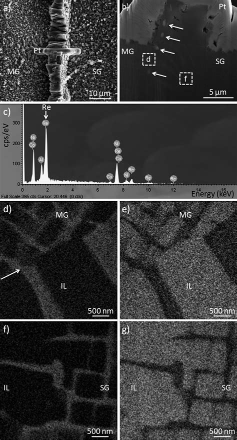 sem images a b sem edx point analysis c and stem element maps