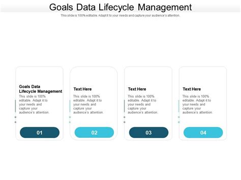Goals Data Lifecycle Management Ppt Powerpoint Presentation Portfolio