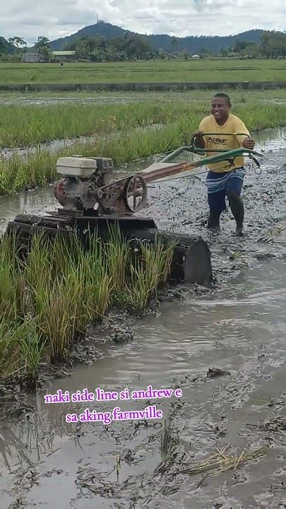 Andrew E In The Farmville Youtube