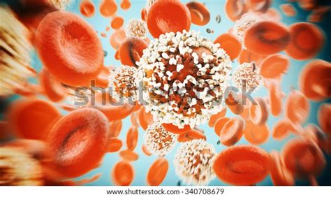 인체의 암세포 스톡 일러스트 340708679 Shutterstock