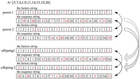 Symmetry Free Full Text A Dual Population Genetic Algorithm With Q