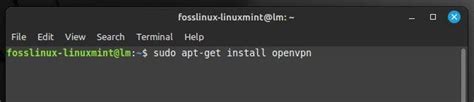 Setting Up A Vpn On Linux Mint A Step By Step Guide