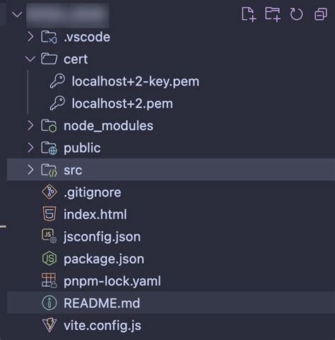 Manual Certificate Setup For Vite Genspark