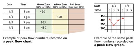 Using A Peak Flow Monitor YourCareEverywhere