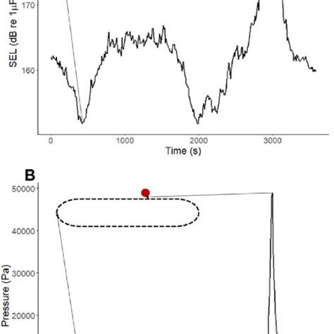 Sound Pressure Levels During The Airgun Array Exposure A The Sound Download Scientific