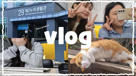 Vlog 경성대 기숙사생의 하루 브이로그 Youtube