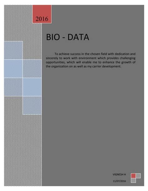 Vignesh H Bio Data Doc Civil Engineering Industry Industries