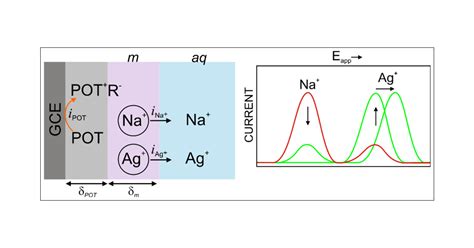 Voltammetric Thin Layer Ionophore Based Films Part 1 Experimental