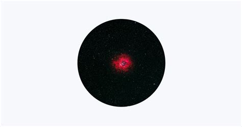 ‎aryan kaushik apple music