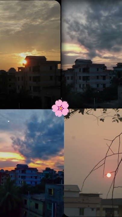 Amader Chad Theke Tola Kichu Chobi Youtube