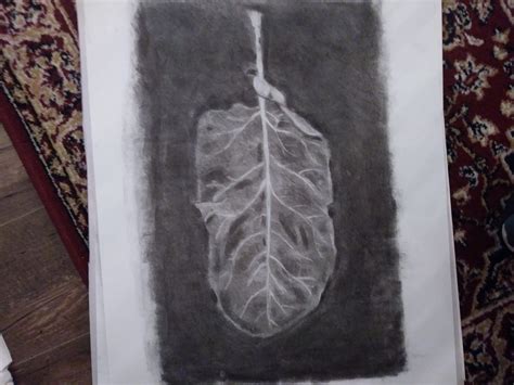 Drawing Matthew Kennedy