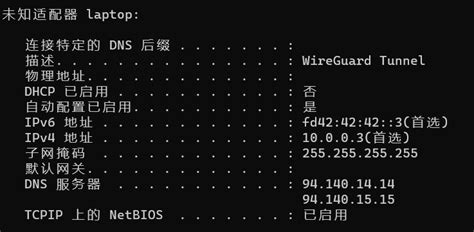 【go】udp 报文转发 人间白玉楼