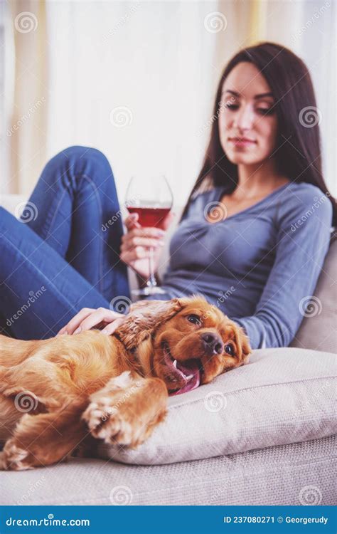 женщина с собакой стоковое изображение изображение насчитывающей потеха 237080271