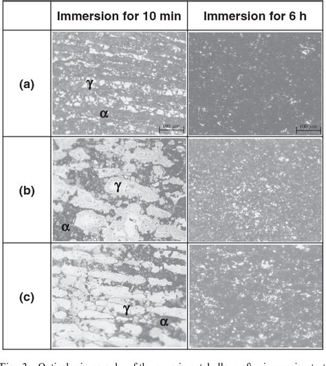 Figure 2 From Effect Of Copper Addition On The Active Corrosion Behavior Of Hyper Duplex
