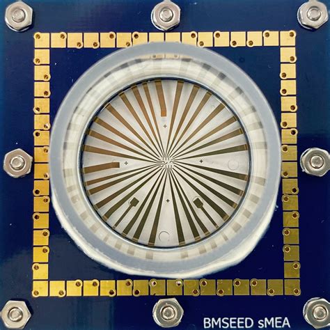 Explore Bmseed S Flexible Stretchable Microelectrode Array Mea Technology Adaptable To