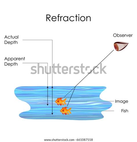 Education Chart Physics Refraction Concept Water Stock Vector Royalty Education Chart Physics Refraction Concept Water Stock Vector Royalty