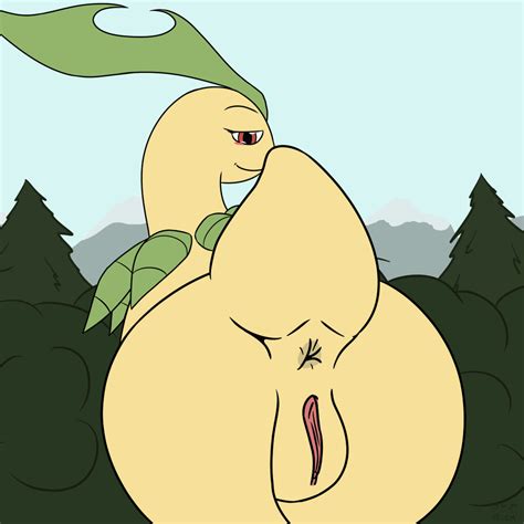 Post 5811245 Animated Bayleef Porkyman Telem