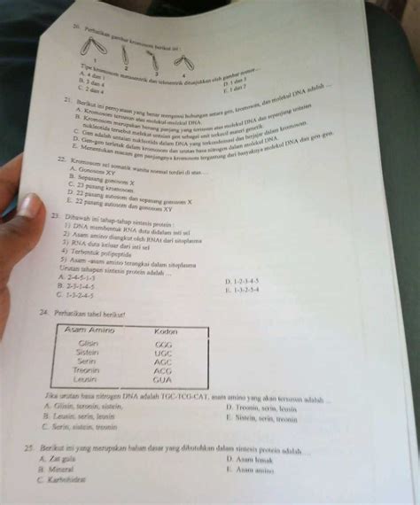 20 Perhatikan Gambar Kromosom Berikut Ini 1 2 3 4 Tipe Kromosom