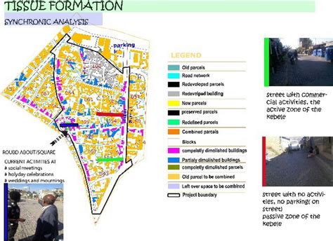 Tissue Formation And Morphologic Analysis Download Scientific Diagram