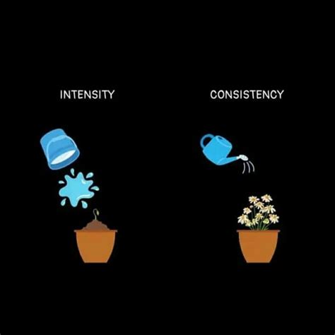 Abiodun Bakare On Linkedin Newweek Dataanalysis Excel Python Sql
