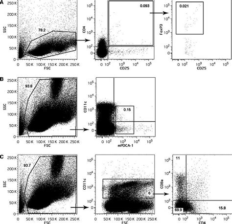 Gating Strategy For Treg Pdc And Cdc Shown On A Representative Dot Download Scientific Diagram