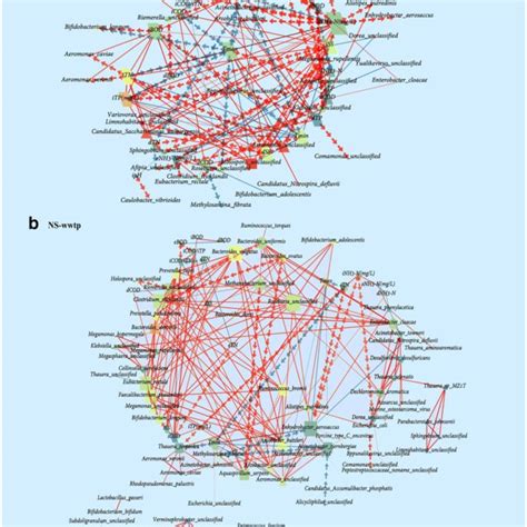 Environment Species Elsa Network Synchronous Delayed And Advanced Download Scientific