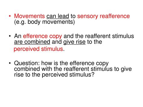 ppt learning sensorimotor transformations powerpoint presentation