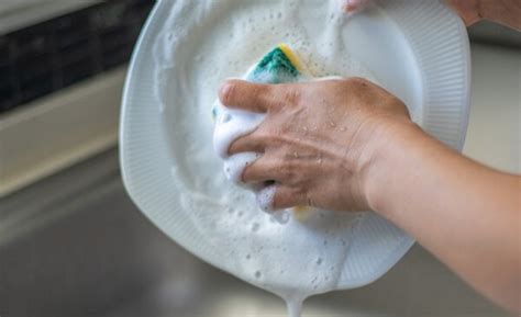 세제 먹는거니 절대 쓰지 마세요 설거지할 때 절대 세제 쓰면 안되는 국민식기 2종류 모르면 손해 핵꿀팁