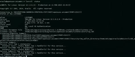 Install Oracle Database 12c On Opensuse 13 2 Unixmen
