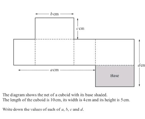 The Diagram Shows The Net Of A Cuboid With StudyX