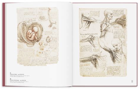 Leonardo Da Vinci｜english Edition Éditions Cercle Dart