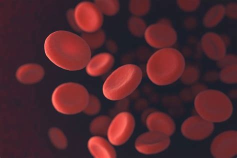 Anemia Perniciosa O Que Sintomas Causas E Tratamento Tua Sa De