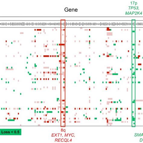 Copy Number Variation Table Samples Are Aligned According To Sample