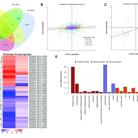 the correlation analyses transcriptomes and proteomes of maize and