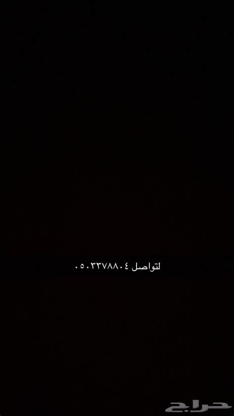 صفراء ضروبه طيبه موقع حراج