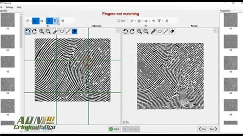 Nuevo Software Fpt Para Entrenamiento De Análisis Y Cotejo