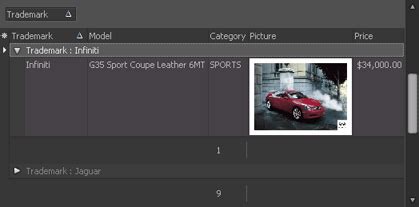 VCL Application Wide Skins Themes Coming Soon To Your Favorite