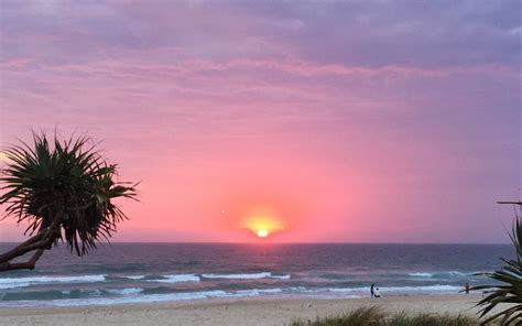 Syntropy Entropy And Business Models For Regenerative Design