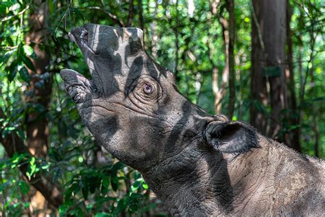 Robert Marc Lehmann Robert Marc Lehmann Meeresbiologe