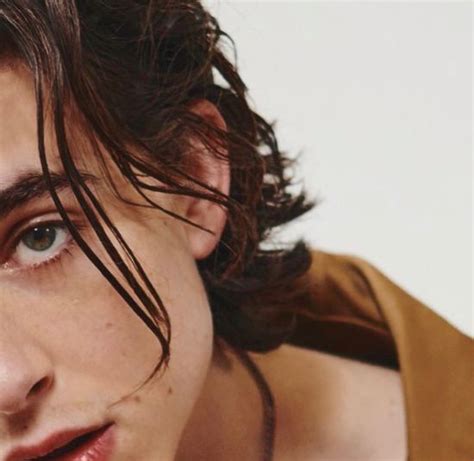 Timothée Timothee Chalamet Timmy T Actors