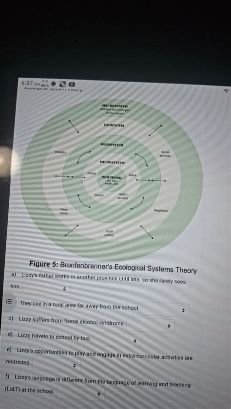 Classify Each Of The Following Scenarios According To Bronfenbrenners Ec