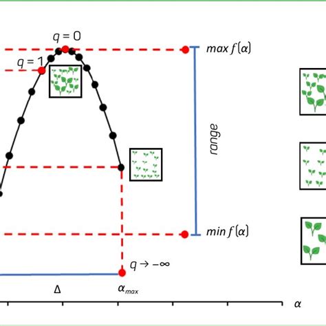 Interpretation Of The Multifractal Singularity Spectrum Download Scientific Diagram