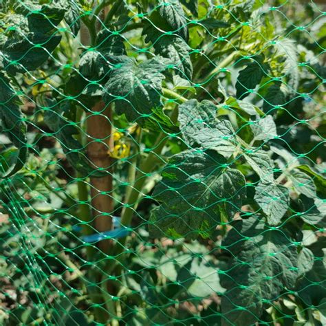 Extruded Anti Bird Net Featured Image