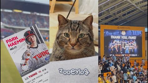 Vlog 야구 개막 Lg트윈스 응원하러 잠실 Go⚾️ 배구 시즌 종료 🏐ㅣ직장인 일상 브이로그ㅣkb스타즈 킹율and입짧은햇님 스타벅스리버사이드대성리 누마우동