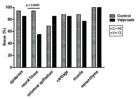 Influence Of 1 Mm Vpa On The Percentage Of Differentiated Tissues In