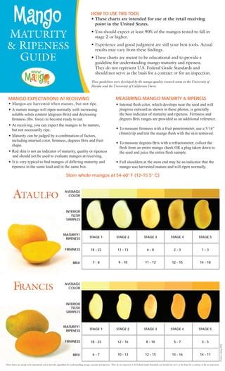 Mango Maturity And Ripeness Guide Pdf Agriculture Industries