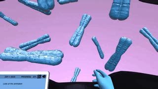 5 Ways To Make Cell Division And Inheritance Exciting Topics For Babes