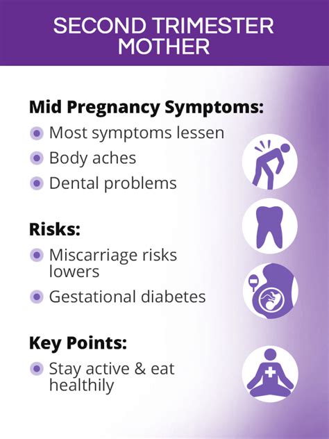 Second Trimester Pregnancy Shecares