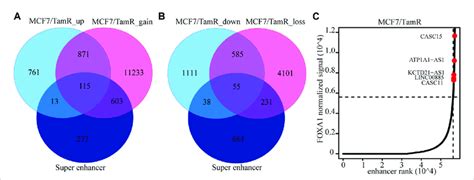 The Identified Super Enhancer Associated Lncrnas A The Venn Diagram