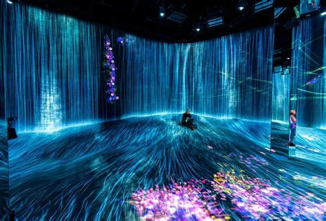 [on The Radar] Teamlab Borderless Shanghai A Digital Wonderland Of A